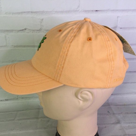 Bioworld | Accessories | Nickelodeon Double Dare Embroidered Logo Hat ...